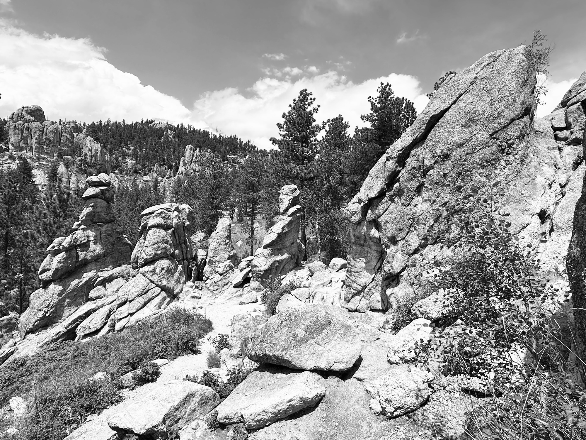 Needles Highway scenic drive, Custer State Park, South Dakota – Erik ...
